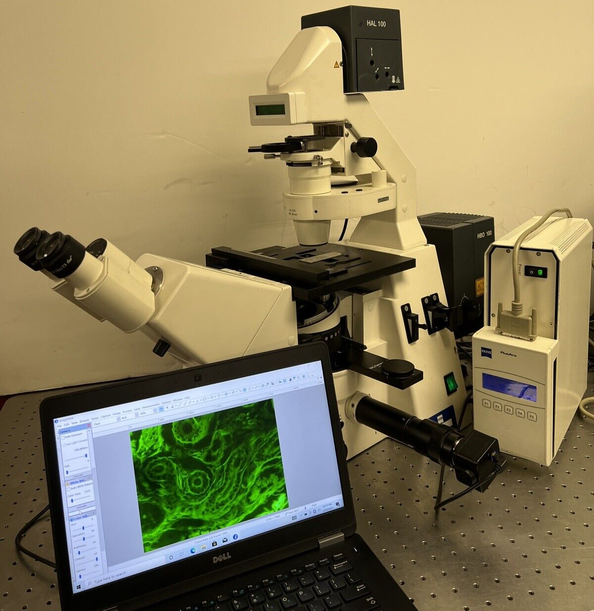 Zeiss Axiovert 200 Inverted Microscope ATTO Fluorescence Phase Contrast ...
