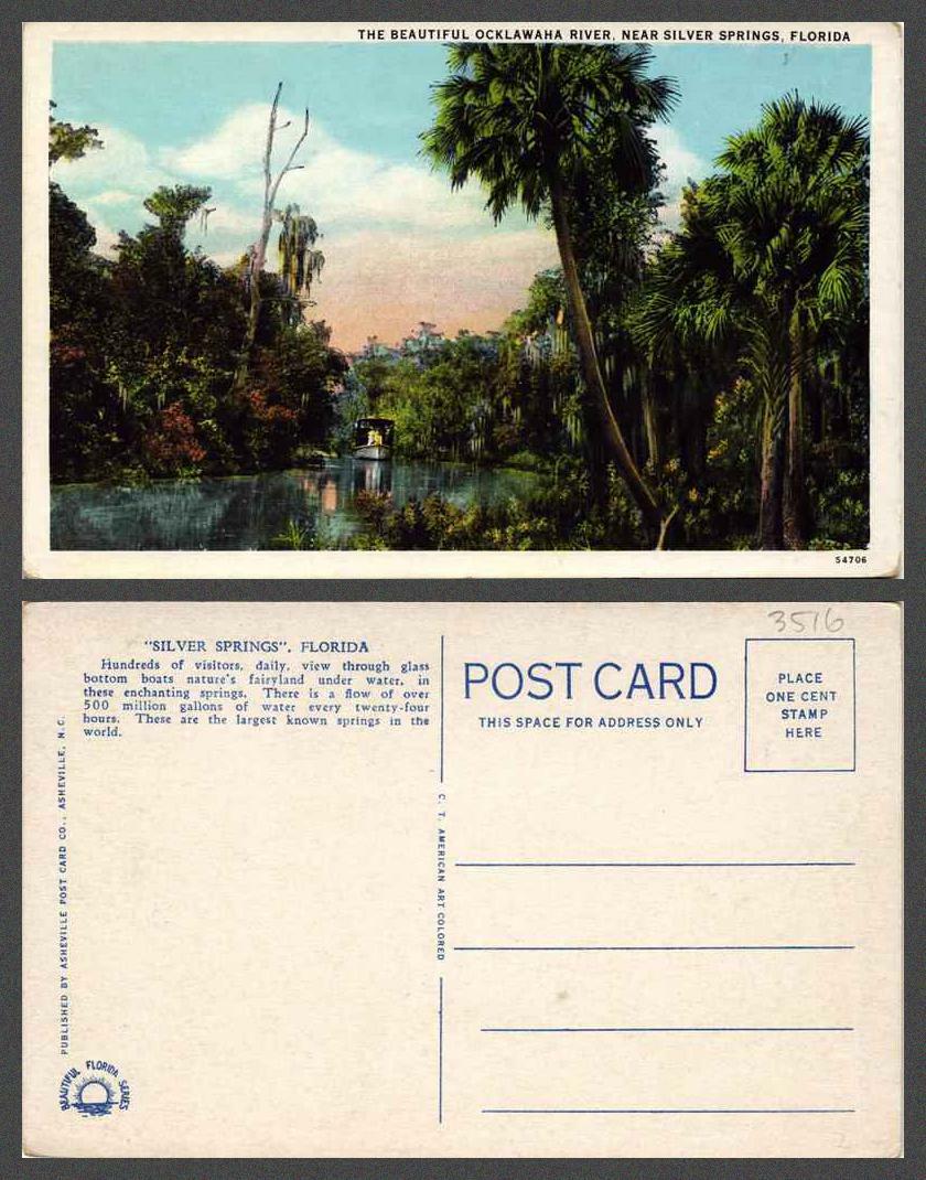 FLORIDA Silver Springs VINTAGE POSTCARD | eBay