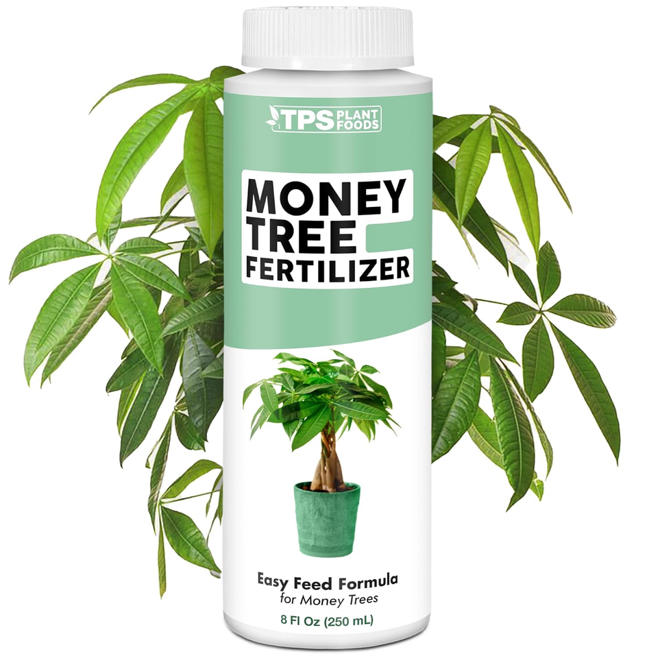 Money Tree Fertilizer for Money Trees and All Pachira Plants, Liquid ...