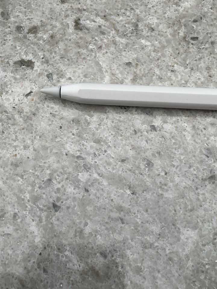 Apple Pencil 2nd Generation Stylus Pen White - VGC | eBay UK