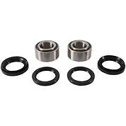 PIVOT WORKS 2002 400 4x4 FIS FRONT WHEEL BEARING KIT PWFWK-A01-542 ...