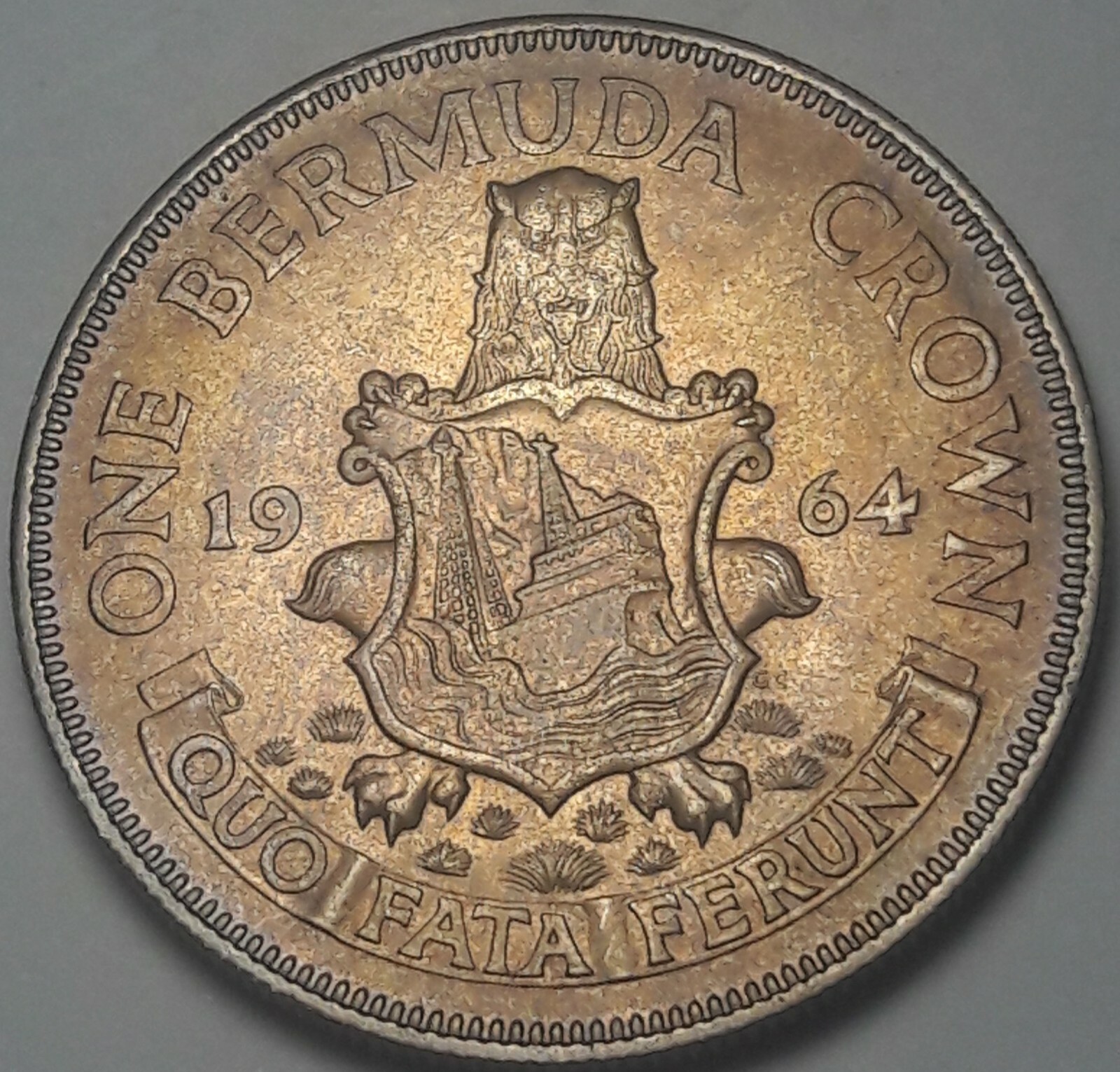 Bermuda rare gold coins for collectors and other buyers ~ MegaMinistore