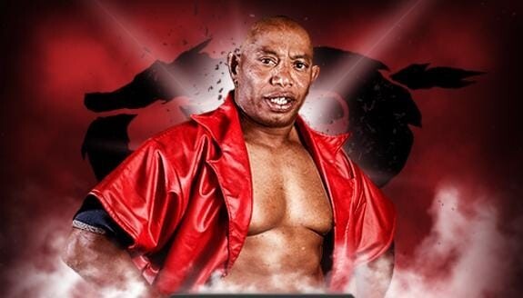 NWA LEGENDS FANFEST 8-10-09 PRO WRESTLING DVD (W-1753) | eBay