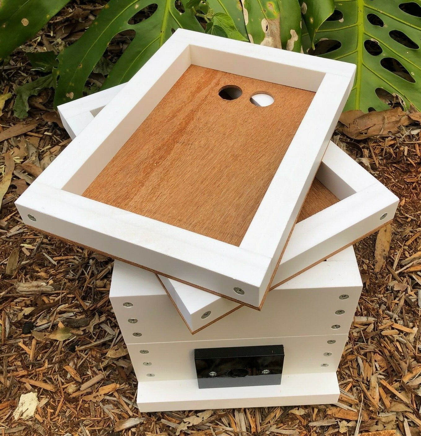 Stingless Native Bee Hive Honey Frame Design With Roof | Composite OATH ...