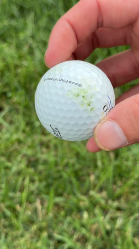 Luna's Golf Ball Washer for Golf Balls cleaner for golf tool for ...