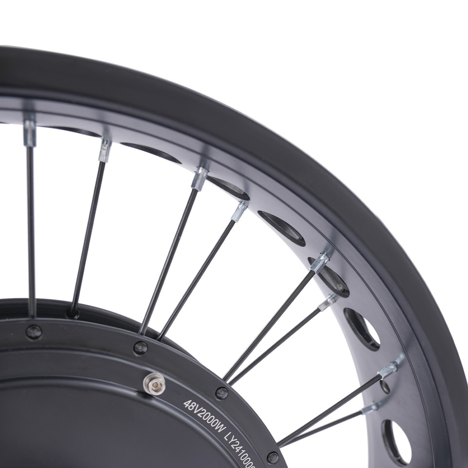 20" 48V Fat Tire Electric Bike Rear Wheel Hub Motor Snow Bike ...