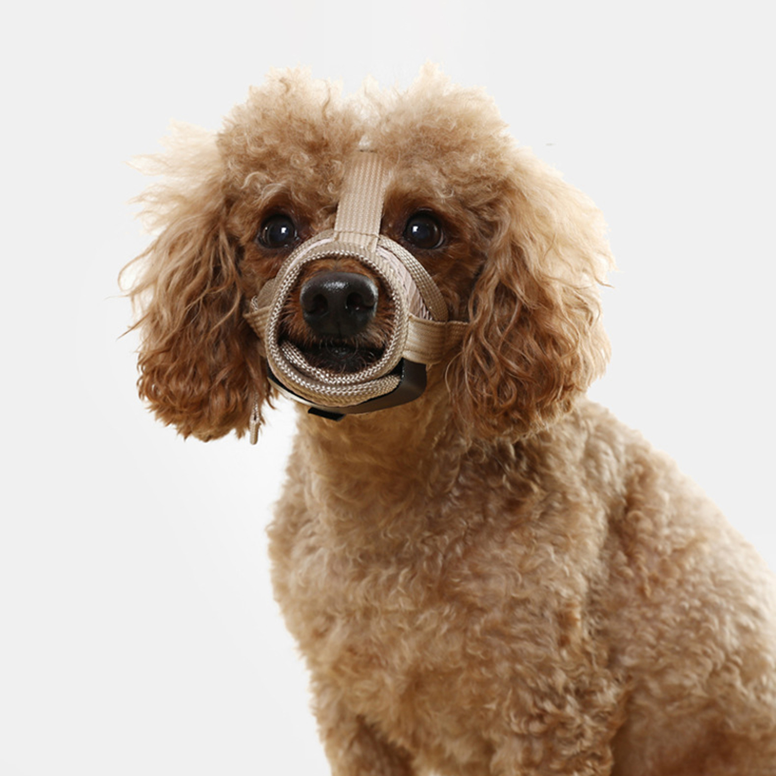 Comfortable Dog Muzzle Pet Adjustable Breathable Widened Fastener Tape ...