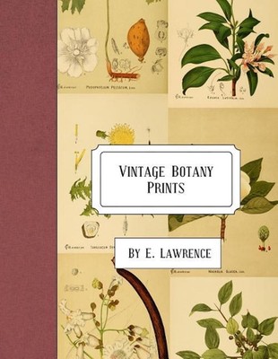 Vintage Botany Prints by E. Lawrence (English) Paperback Book | eBay ...