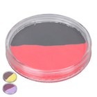 Double Colors Face Body Paint Plate Professional Cosmetic Painting ...