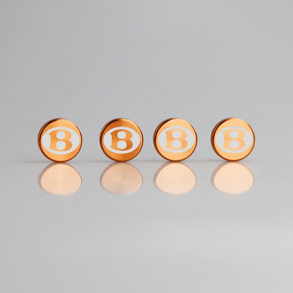 Laser Etched 4 Rose Gold Aluminum Bentley License Plate Frame Fastener ...