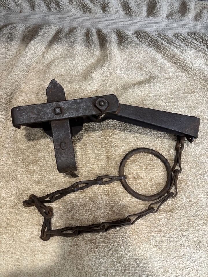 Vintage Newhouse No 2 1/2 Long Spring Trap Trapping Victor Sargent | eBay