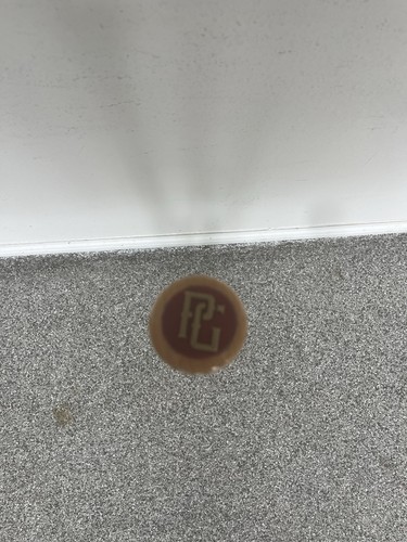 Rawlings Pro Preferred OA1 Maple Wood Baseball Bat 33" From ‘23 PG All ...