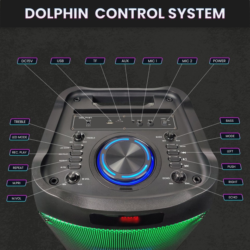 Dolphin Dual 12" Bluetooth Party Speaker w/ 2 Microphones Karaoke ...
