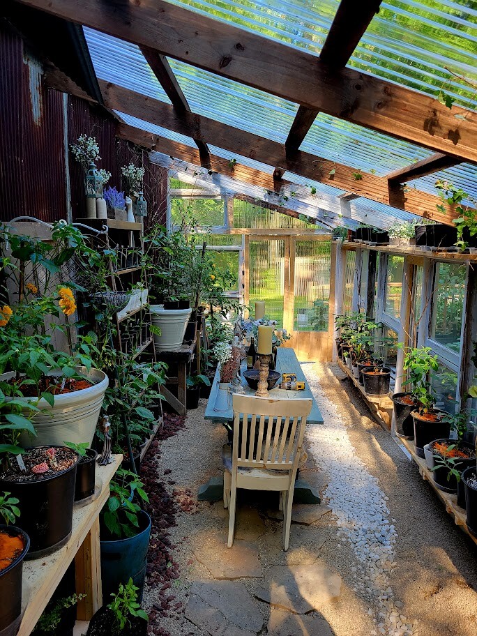 TIGGER MELON Seeds Unique Creek Homestead Certified Tiger Striped ...