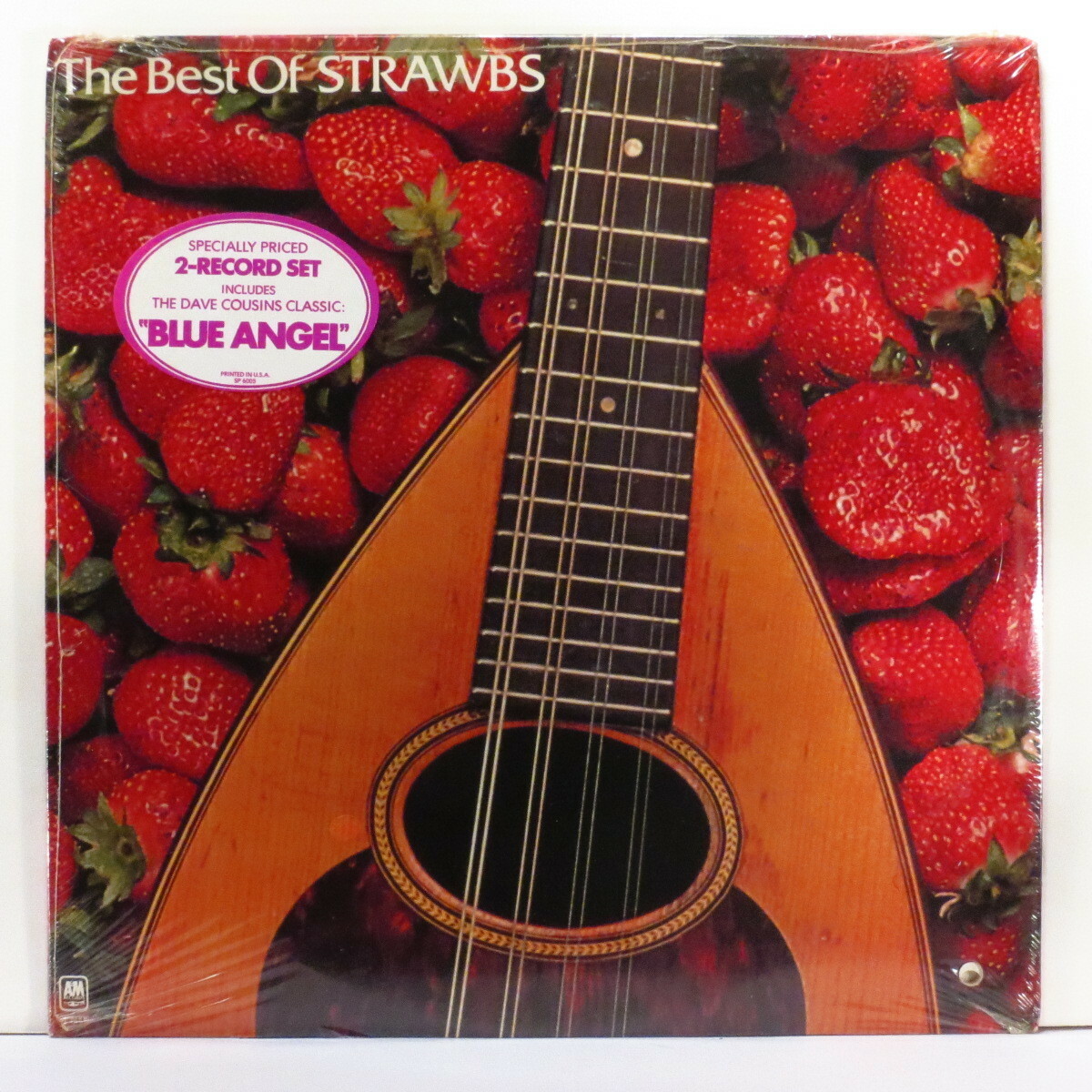STRAWBS - Best Of Strawbs 1978 1st US WLPromo 2LP SEALED w/ hype ...