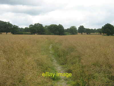 Photo 6x4 Footpath to St. Piers Lane Lingfield Common A field path ...