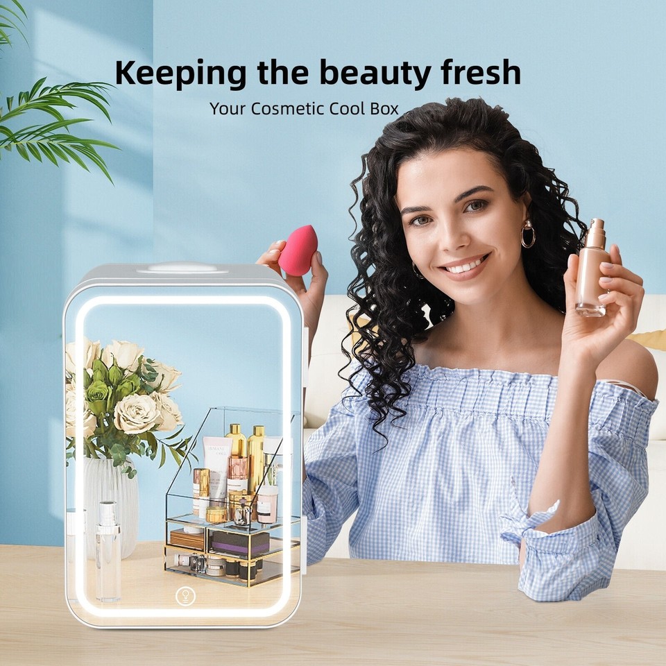 8L Portable Mini Fridge Cosmetics Refrigerator LED Mirror Cooler Warmer ...
