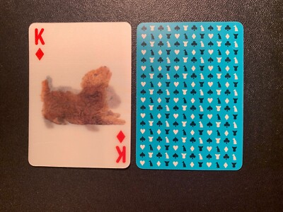 swap playing card DOGS 3D King of Diamonds Special Effects | eBay