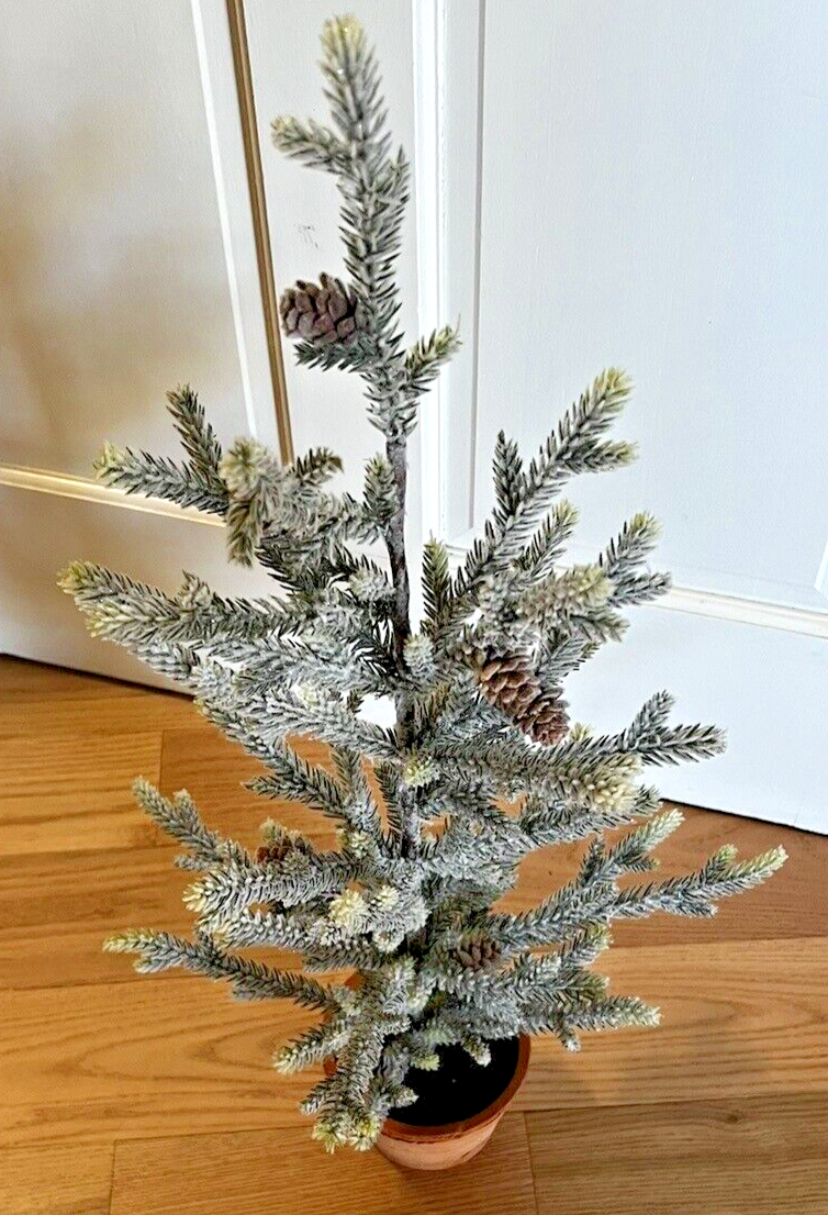 Pottery Barn Flocked Christmas Trees Pine Cones in Terra Cotta Pot | eBay