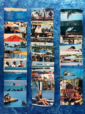 Flipper: The Movie SINGLE Non-Sport Trading Card by Donruss 1996 | eBay