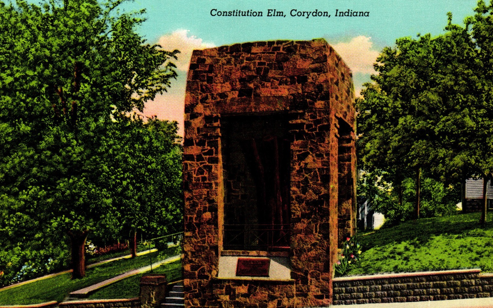 Postcard Constitution Elm, Corydon, Indiana | eBay