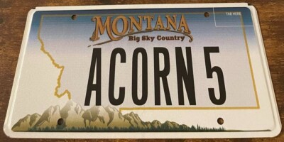 ACORN 5 Vanity License Plate Word Cookies | eBay