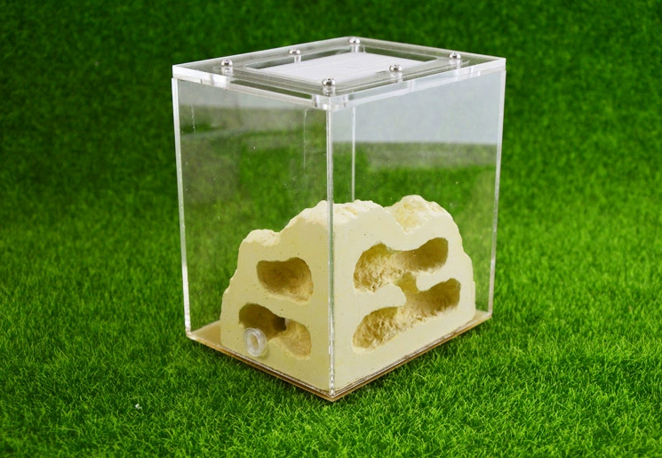 Ant Observation Box ant Nest Formicarium House Ant Farm House Living ...
