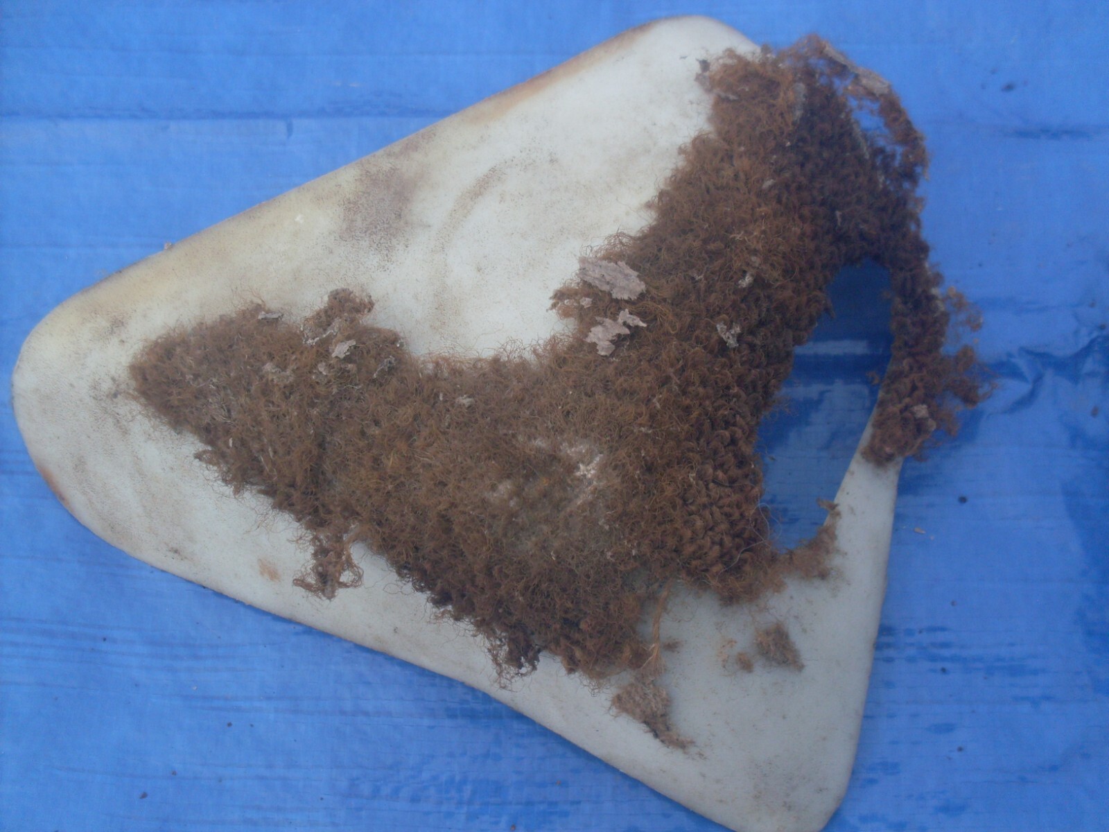 1970 MOPAR E BODY SEAT BELT RETRACTOR COVER BARRACUDA CHALLENGER CUDA ...