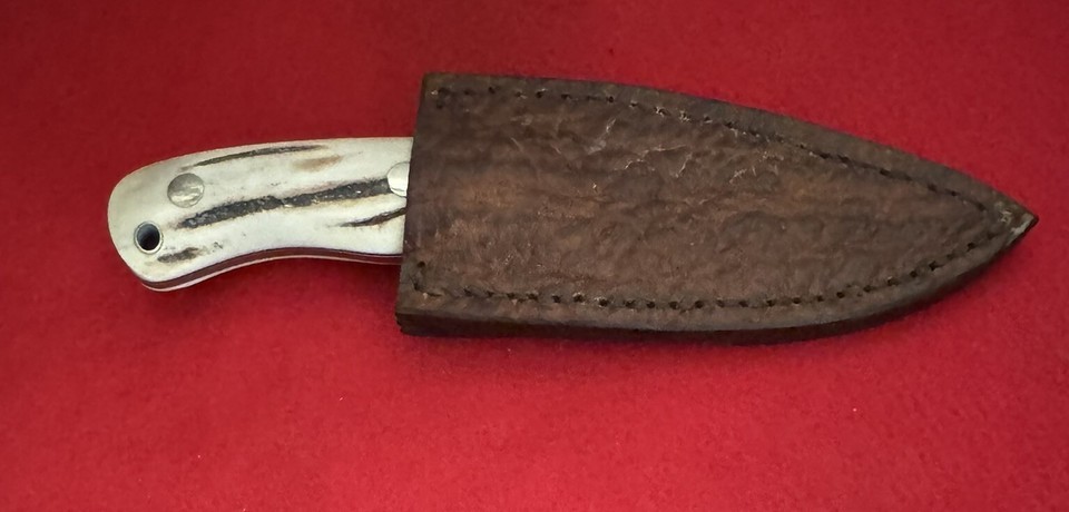 ALAN SCHROCK CUSTOM FIXED BLADE RING KNIFE, VASCO WEAR STEEL, STAG ...