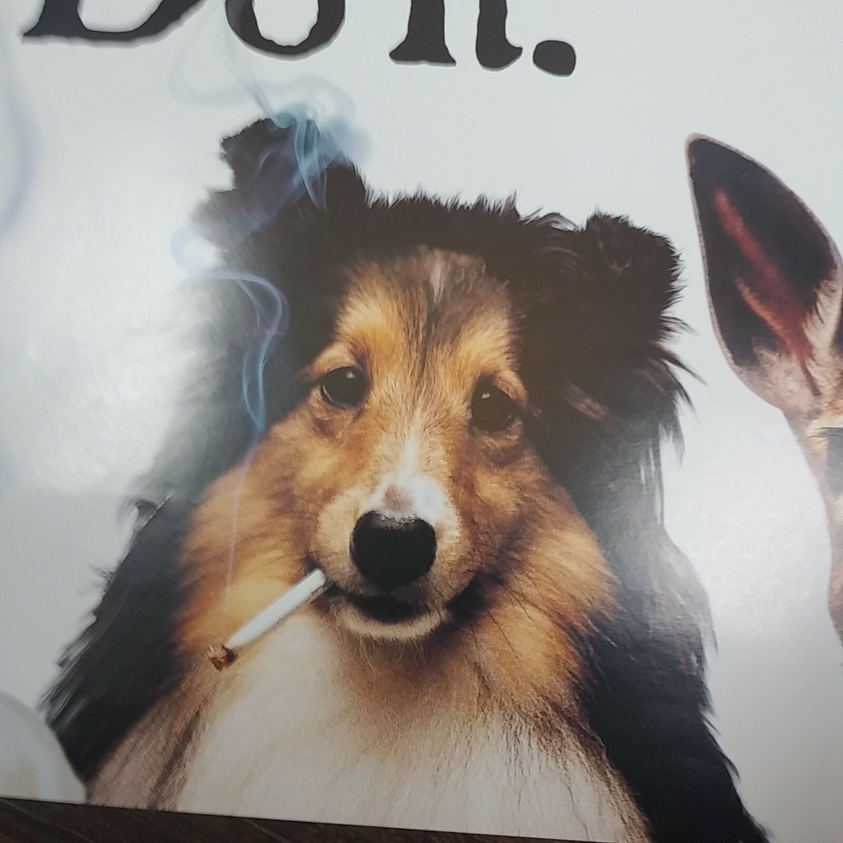 Animals Smoking Cigarettes Poster