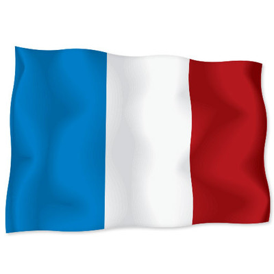 FRANCE French Flag car bumper sticker decal 6" x 4" | eBay