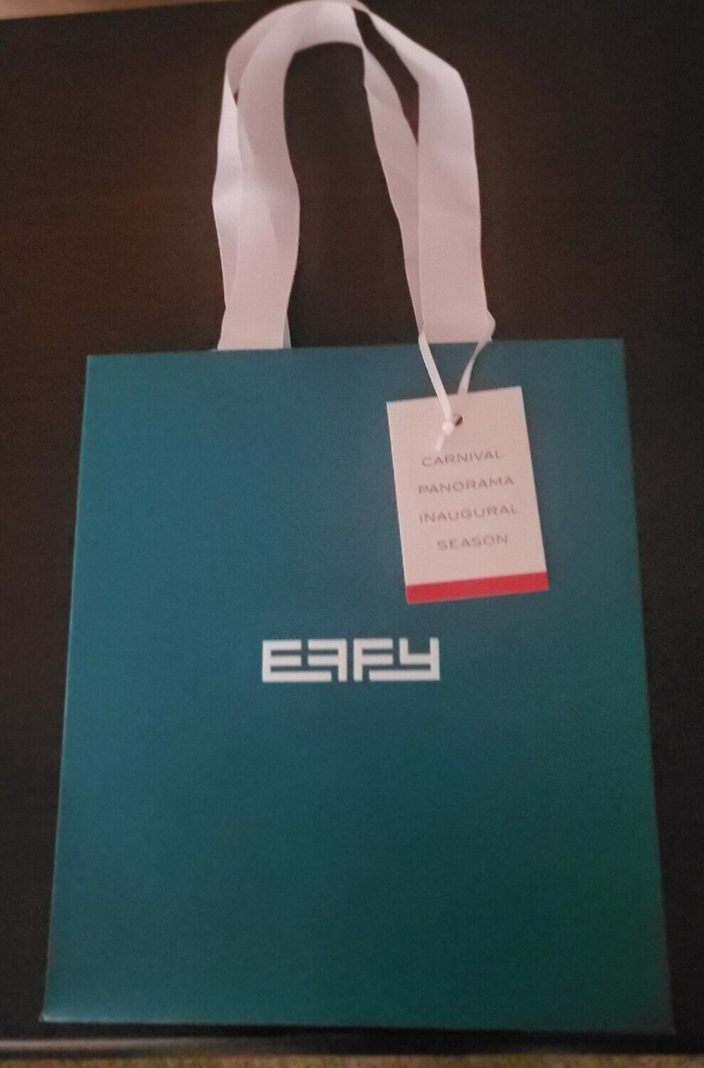 EFFY Gift Shopping Heavy Paper Bag -Two 6" Ribbon Handles (9.5” x 8”x 3 ...