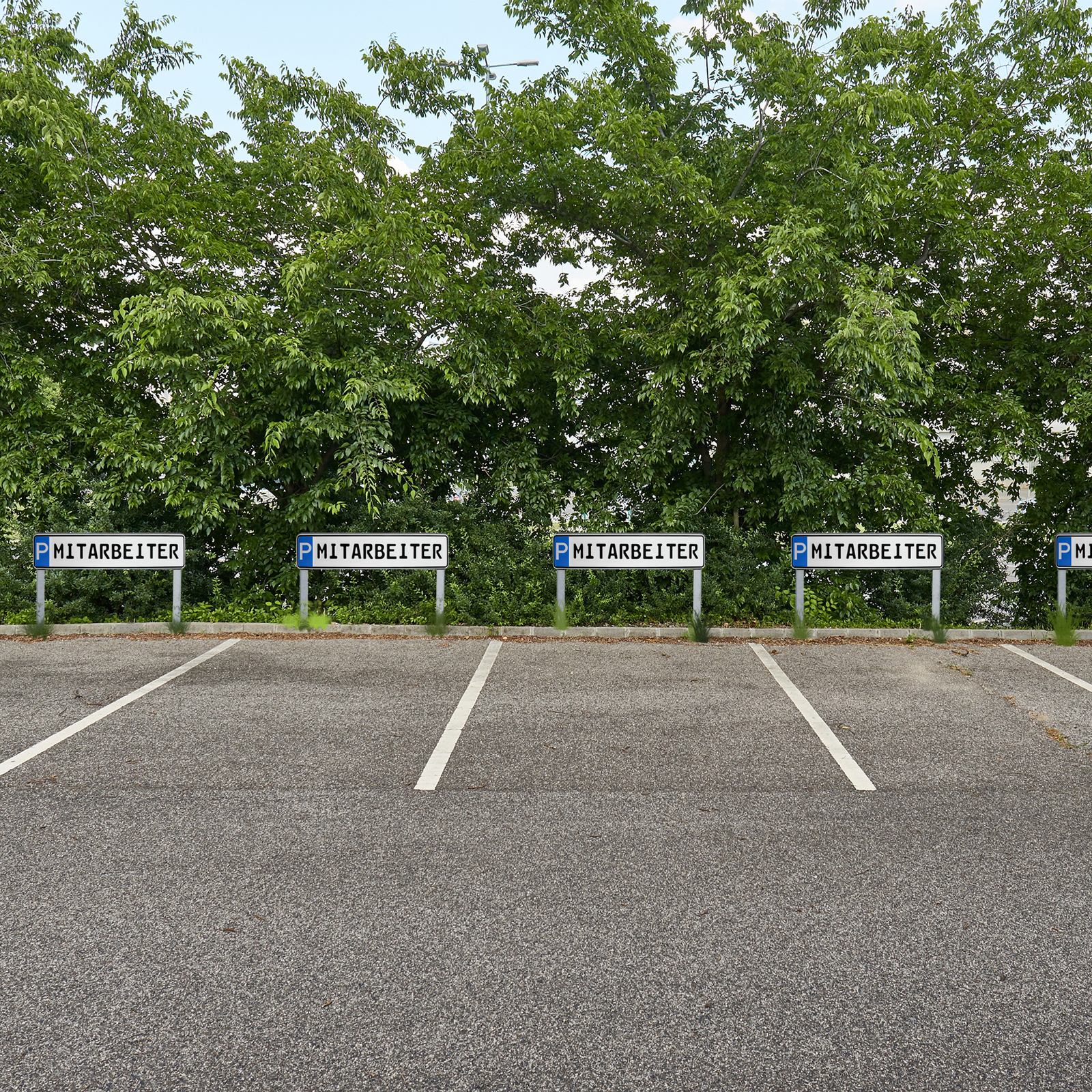 Individuels Signe de Stationnement 520x110mm Caractéristique Personnel ...