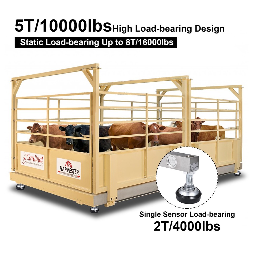 Livestock Scale Kit for Cattle Hogs Sheep Goats Pigs Squeeze Chutes ...