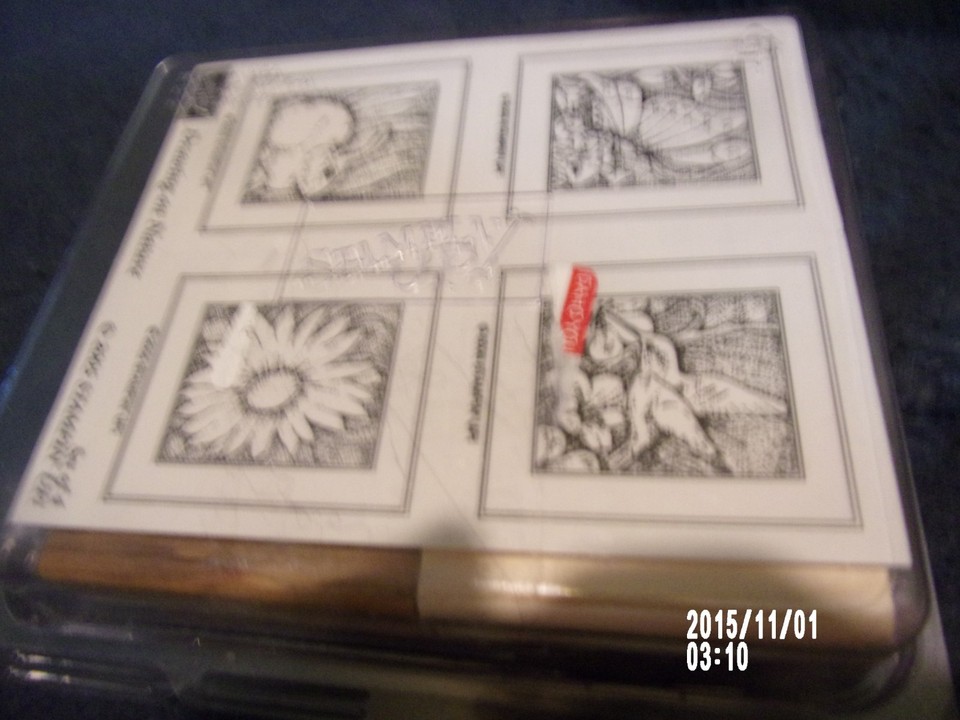 Stampin Up Drawing On Nature Stamp Set Bunny Hummingbird Flower ...