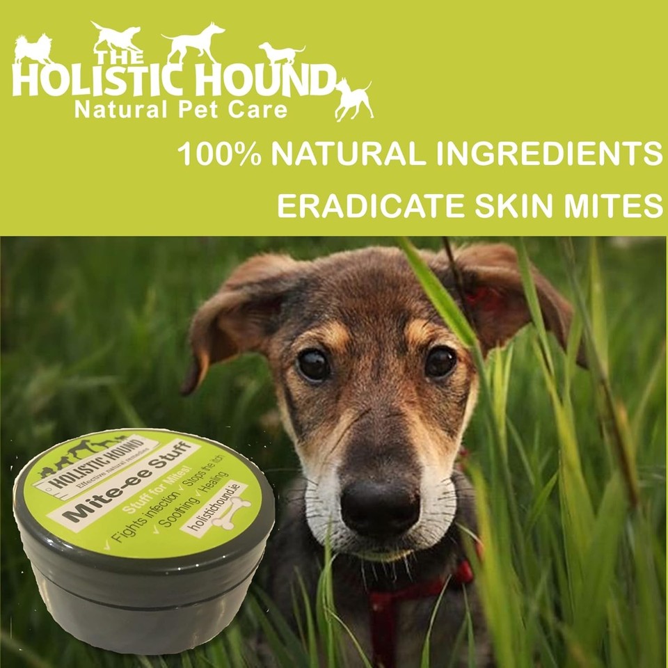 Holistic Hound Mite-ee Stuff Natural Balm for Dog Skin Mites Treatment ...
