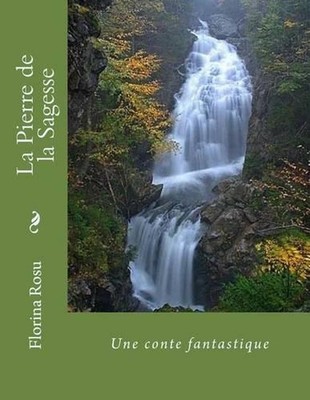 La Pierre de la Sagesse: Une conte fantastique by Florina Rosu (French ...