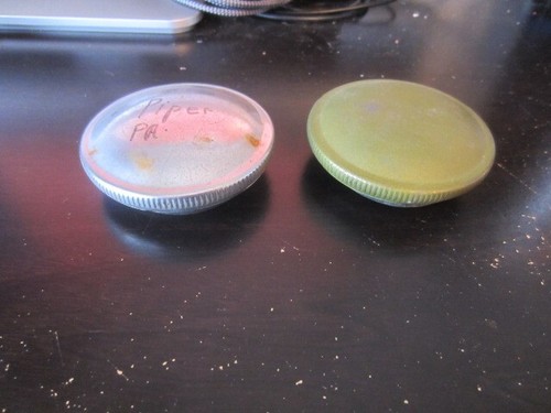 Piper vented fuel cap | eBay