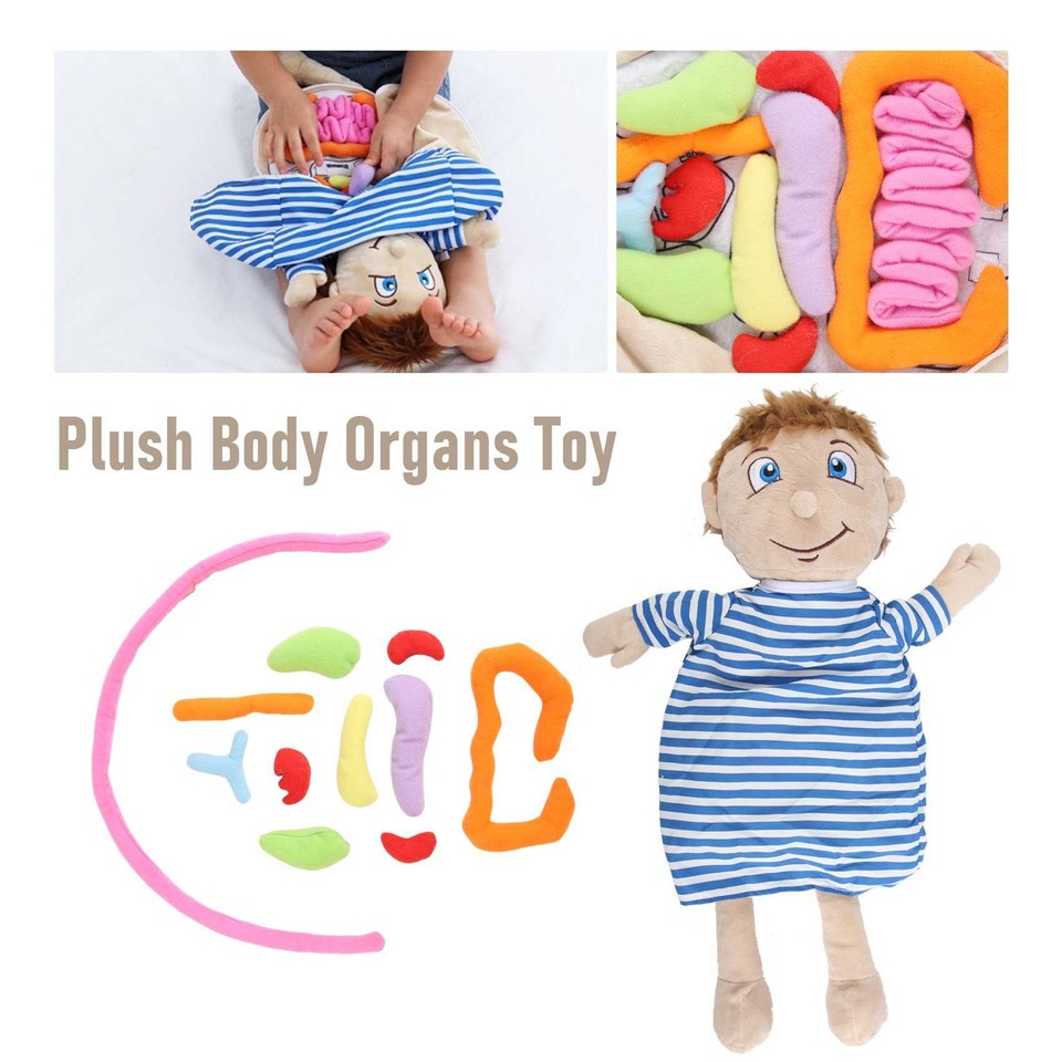 Kids Assembled Plush Body Organs Toy Human Body Anatomy Plush Doll ...