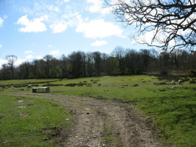 Photo 6x4 Farm track north of Brynddu Llanfechell c2009 | eBay UK