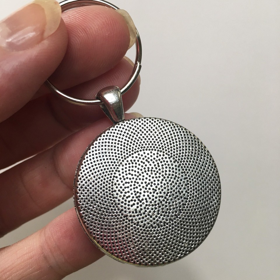 AMC Hornet Emblem Badge Logo Keychain Reproduction American Motors ...