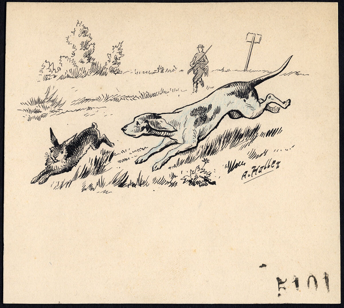 Hunting Dog Drawings