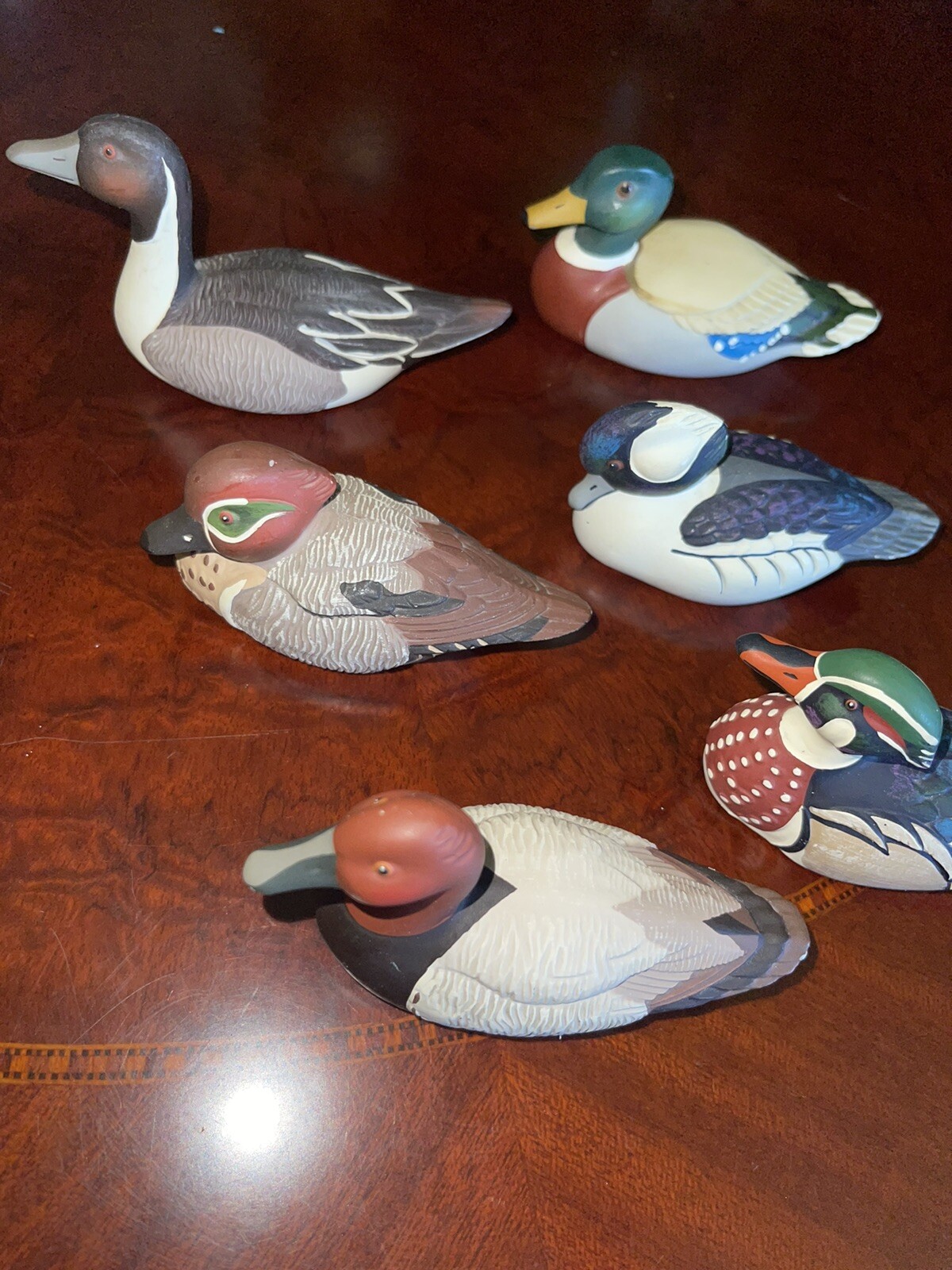 Avon Duck Collection