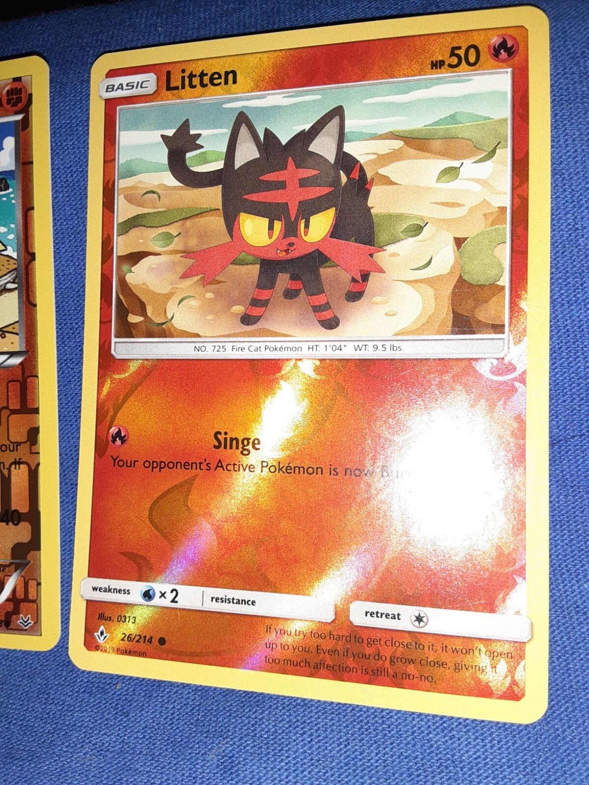 Pokémon TCG Litten Unbroken Bonds 26/214 Reverse Holo Common | eBay