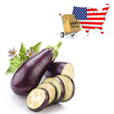 Dried/Dehydrated Brinjal Slices 80g Eggplant Slices Aubergine Rings ...