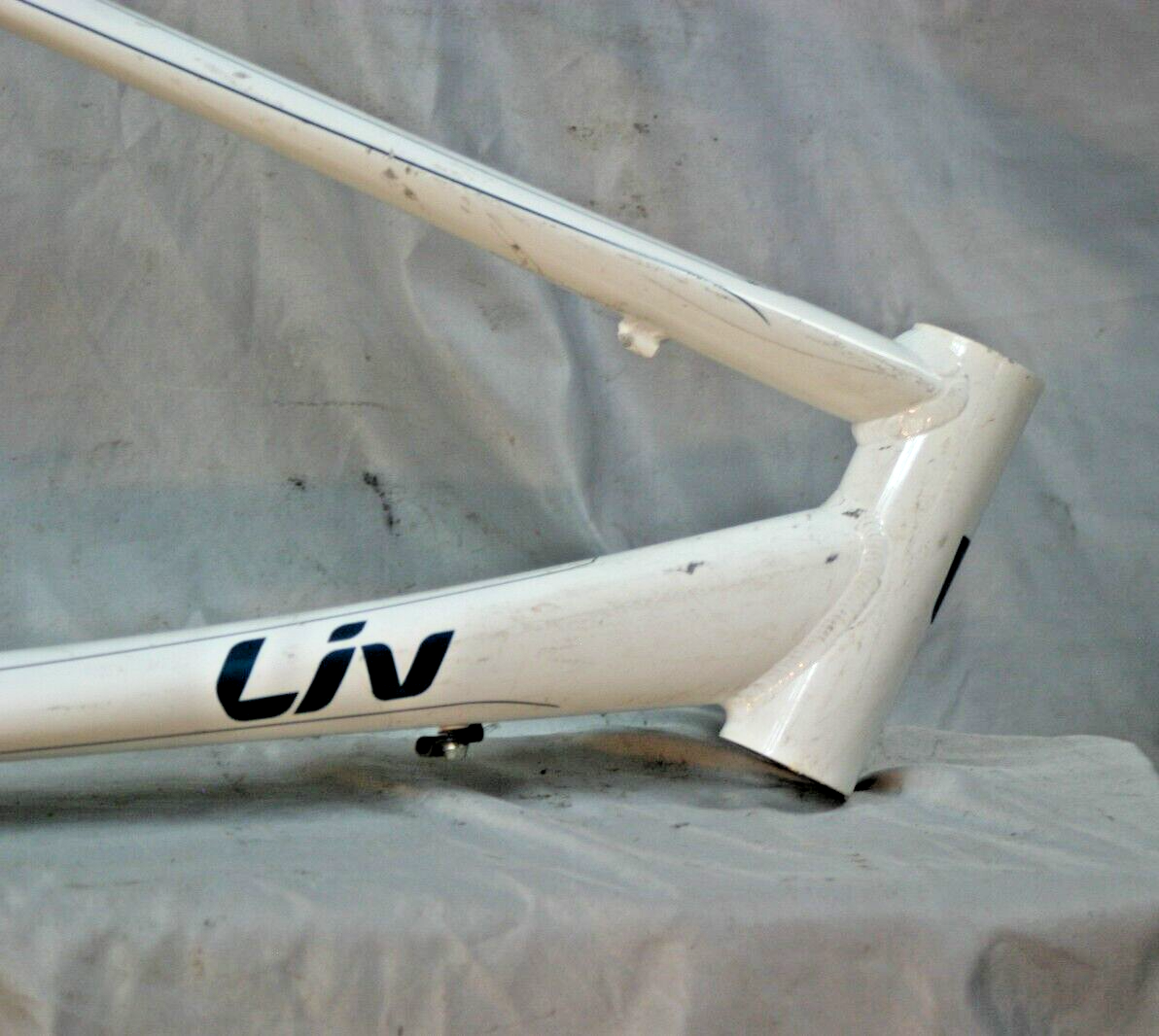 2015 Giant Liv Alight 29er MTB Bike Frame 17" Medium Hardtail Hybrid ...