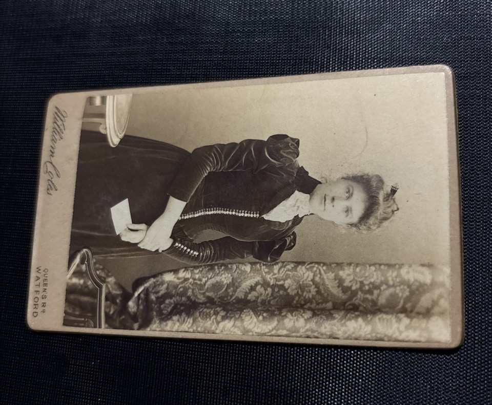 William Coles Watford Velvet Dress Lady Woman Victorian Antique CDV ...