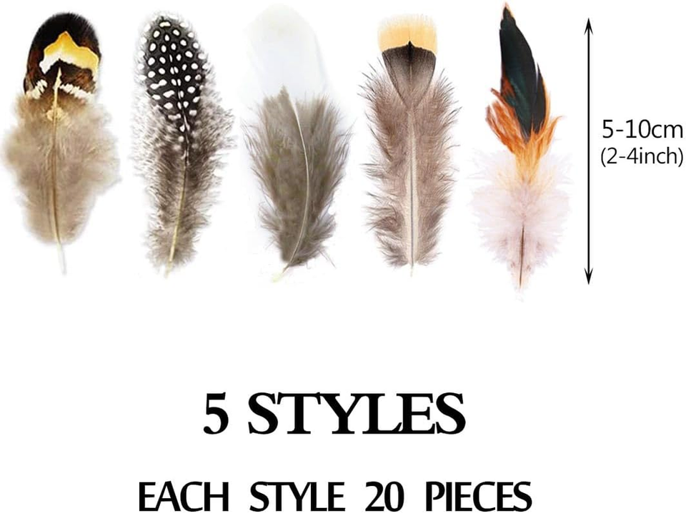 100Pcs 5 Style Natural Feathers Assorted Mixed Feathers for Dream ...