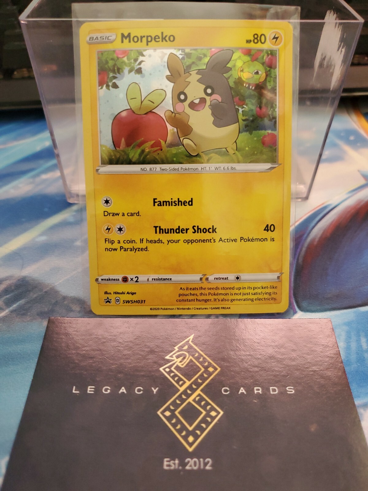 Morpeko SWSH031 - SWSH Holo Black Star Promo - Pokémon TCG (NM) | eBay