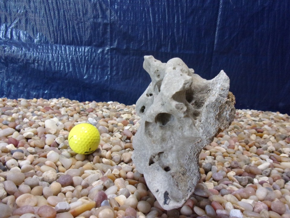 06# Texas/TN Holey Rock 06"x12"x03" Aquarium Reptile Honeycomb ...